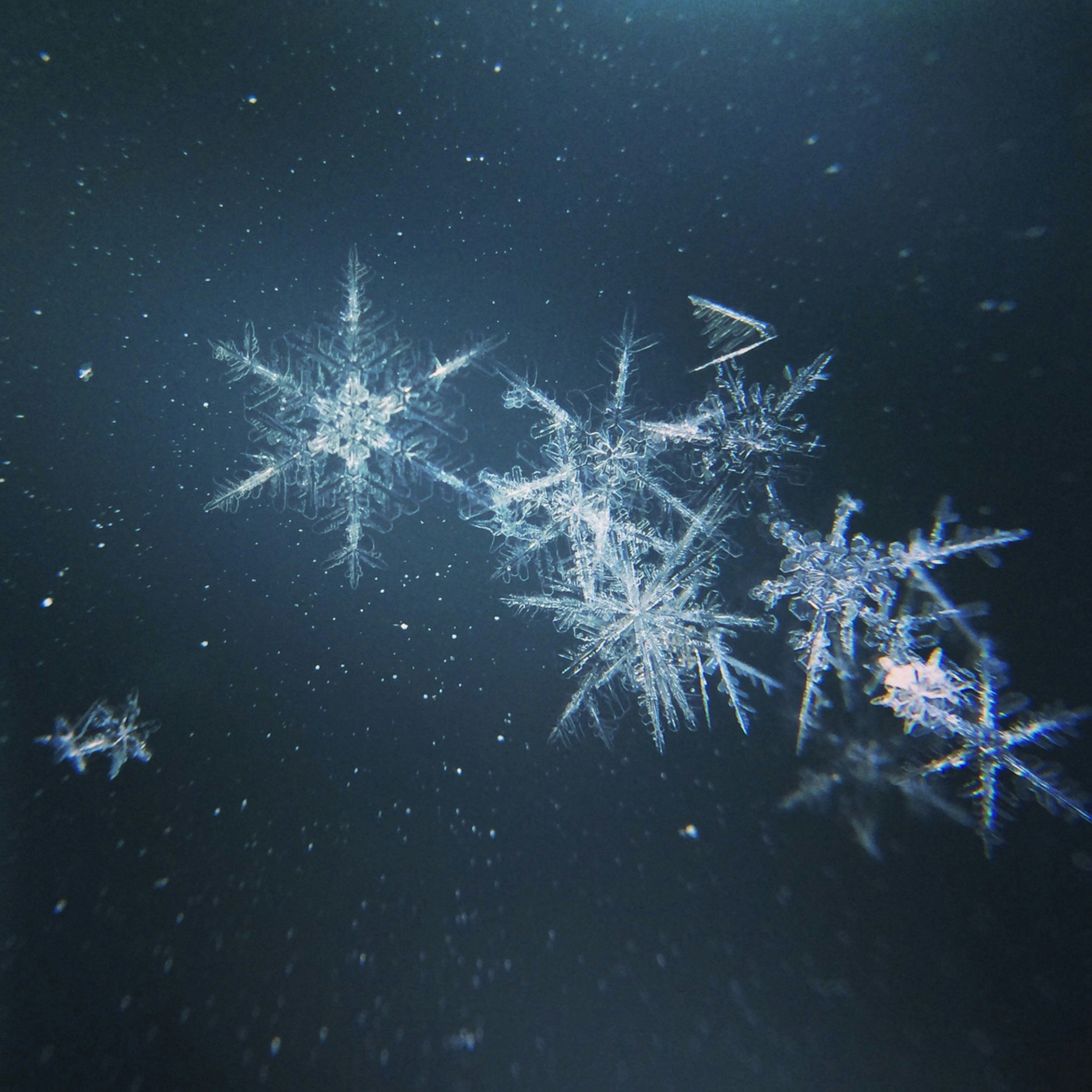 Why Snowflakes Are White? The Science of Winter Magic. – CMY Cubes